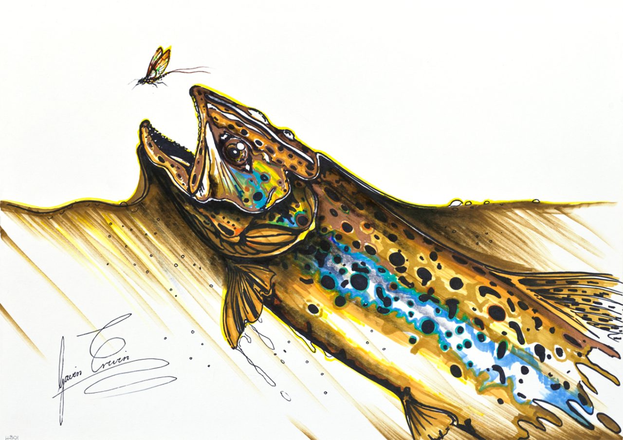 Gavin Erwin Sharpie Art | Fish Sharpies Portfolio & Images