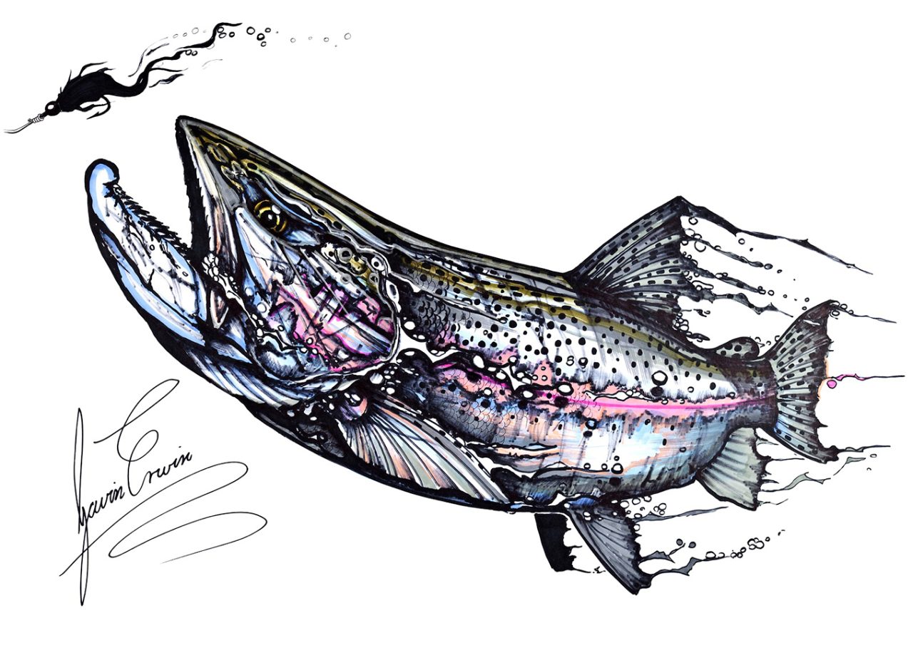 Gavin Erwin Sharpie Art | Fish Sharpies Portfolio & Images